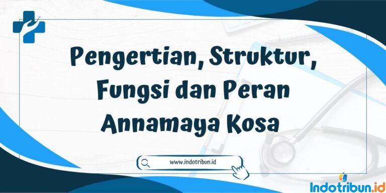 Pengertian, Struktur, Fungsi dan Peran Annamaya Kosa | Indotribun.id